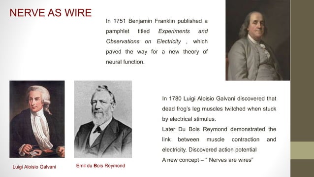 History of Neuroscience | PPTX