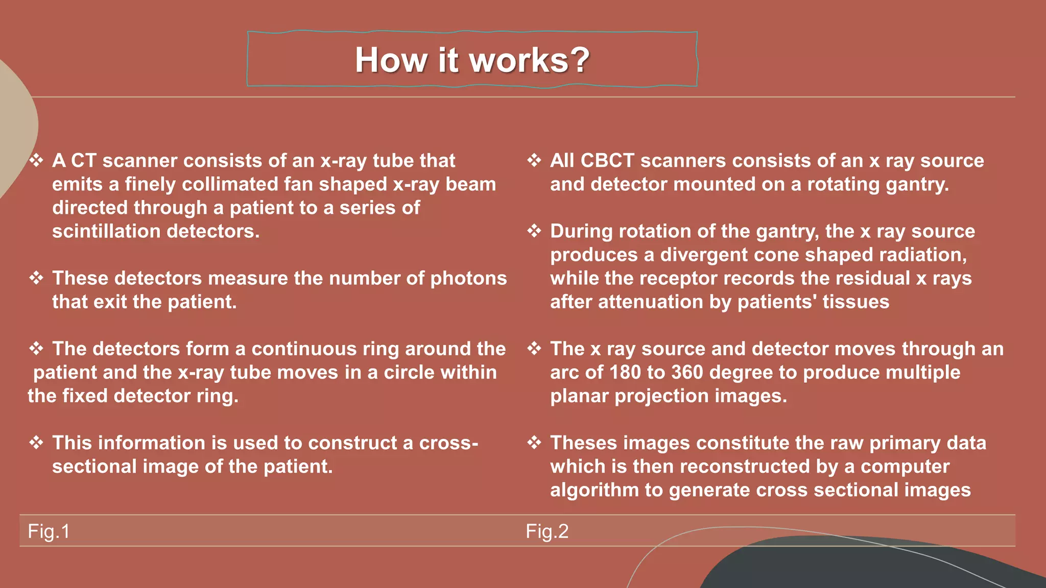 CBCT anatomical structures | PPTX