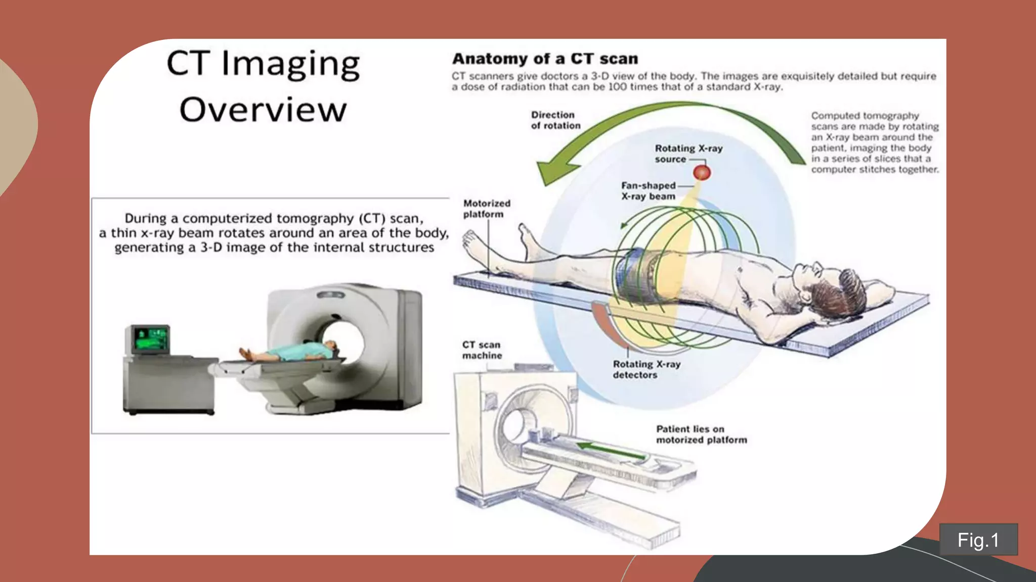 CBCT anatomical structures | PPTX