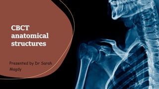 CBCT anatomical structures | PPTX