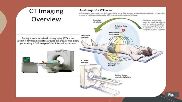 CBCT anatomical structures | PPTX