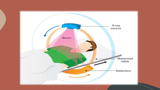 CBCT anatomical structures | PPTX