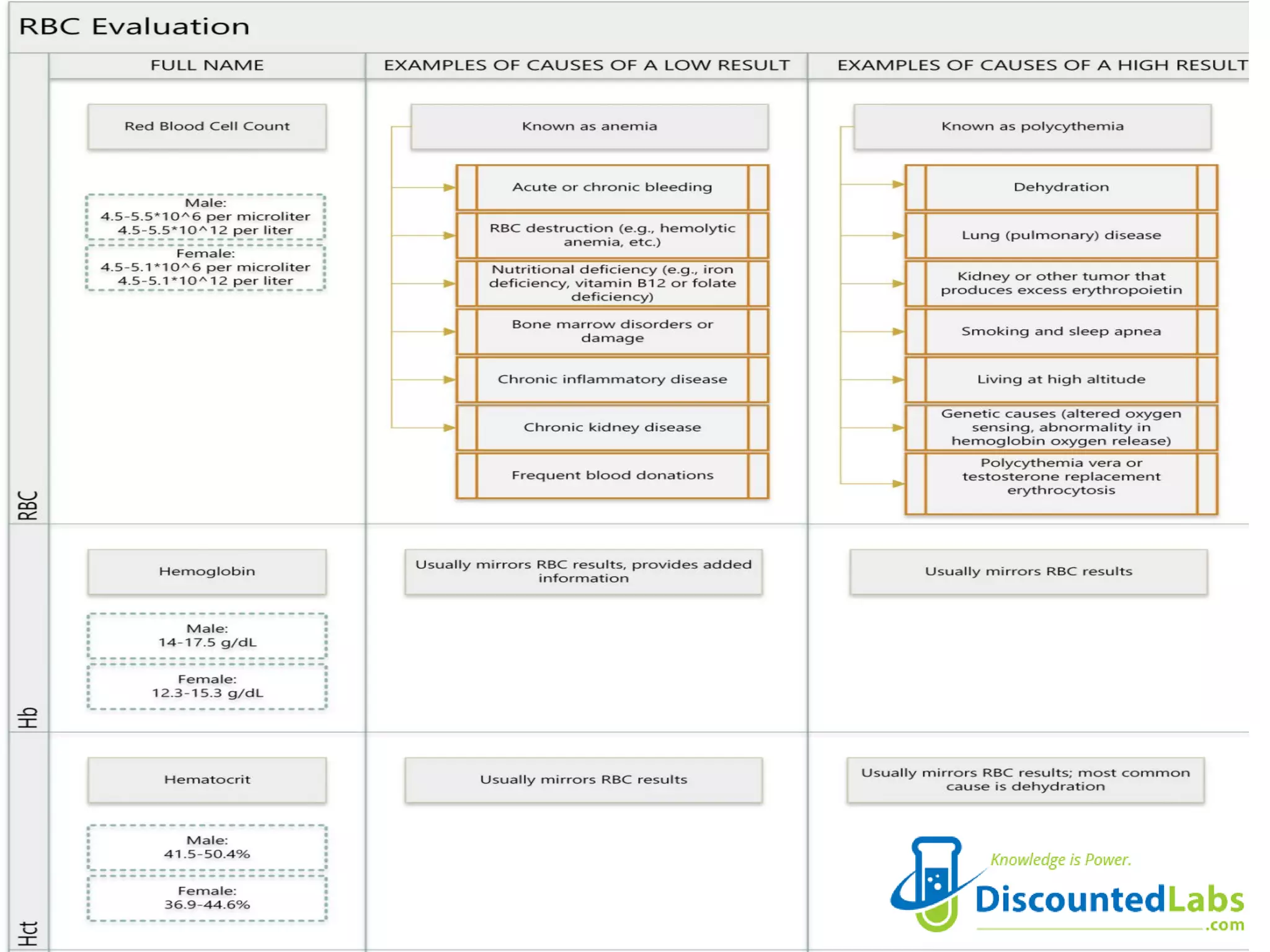 Complete Blood Count Panel Meaning | PDF | Blood Disorders | Diseases ...