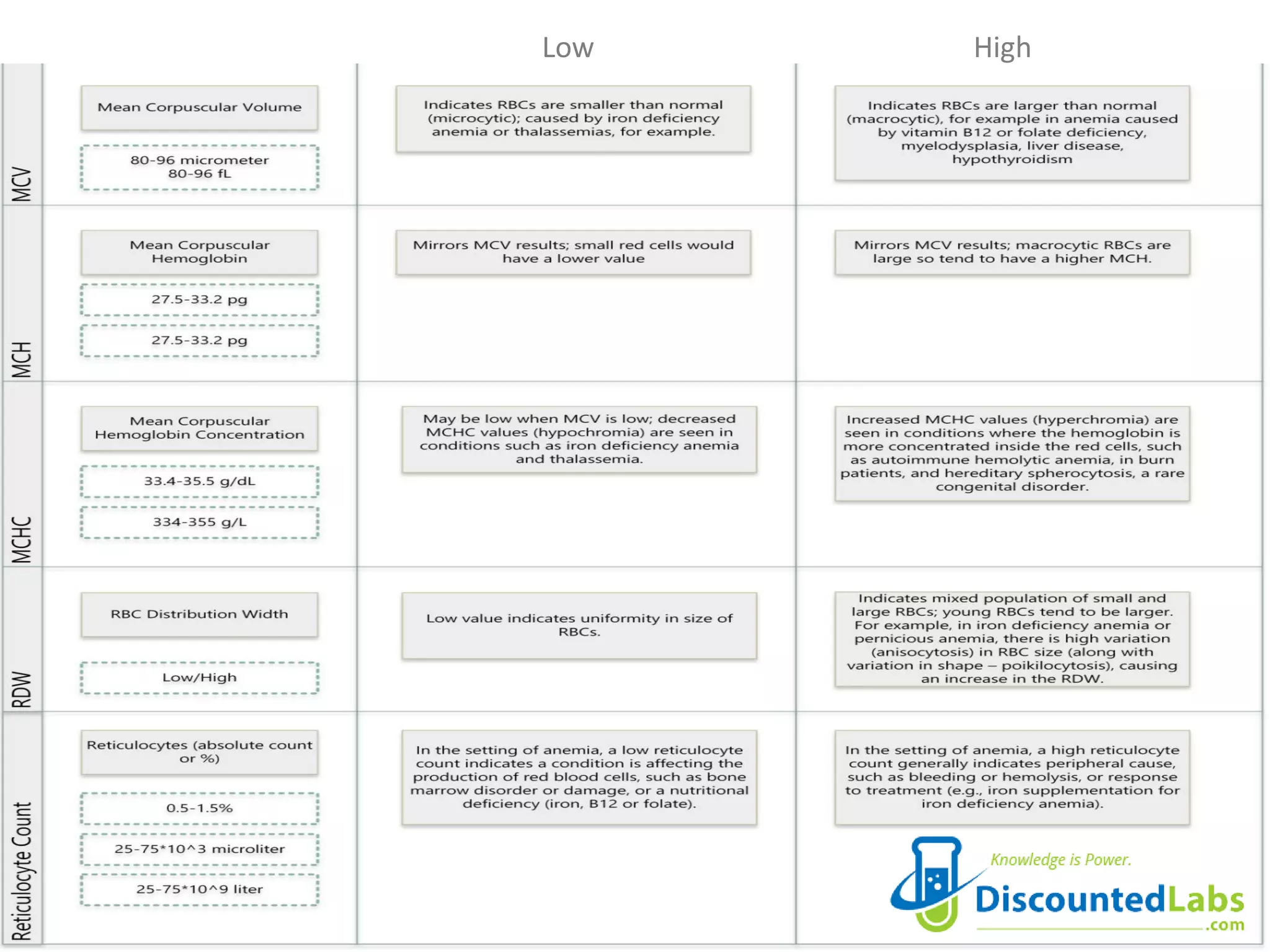 Complete Blood Count Panel Meaning | PDF | Blood Disorders | Diseases ...