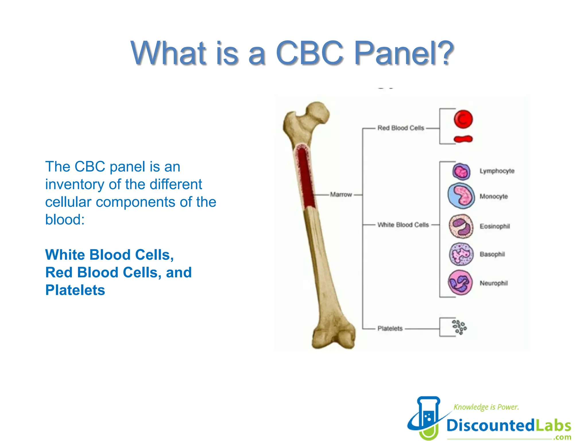 Complete Blood Count Panel Meaning | PDF | Blood Disorders | Diseases and Conditions