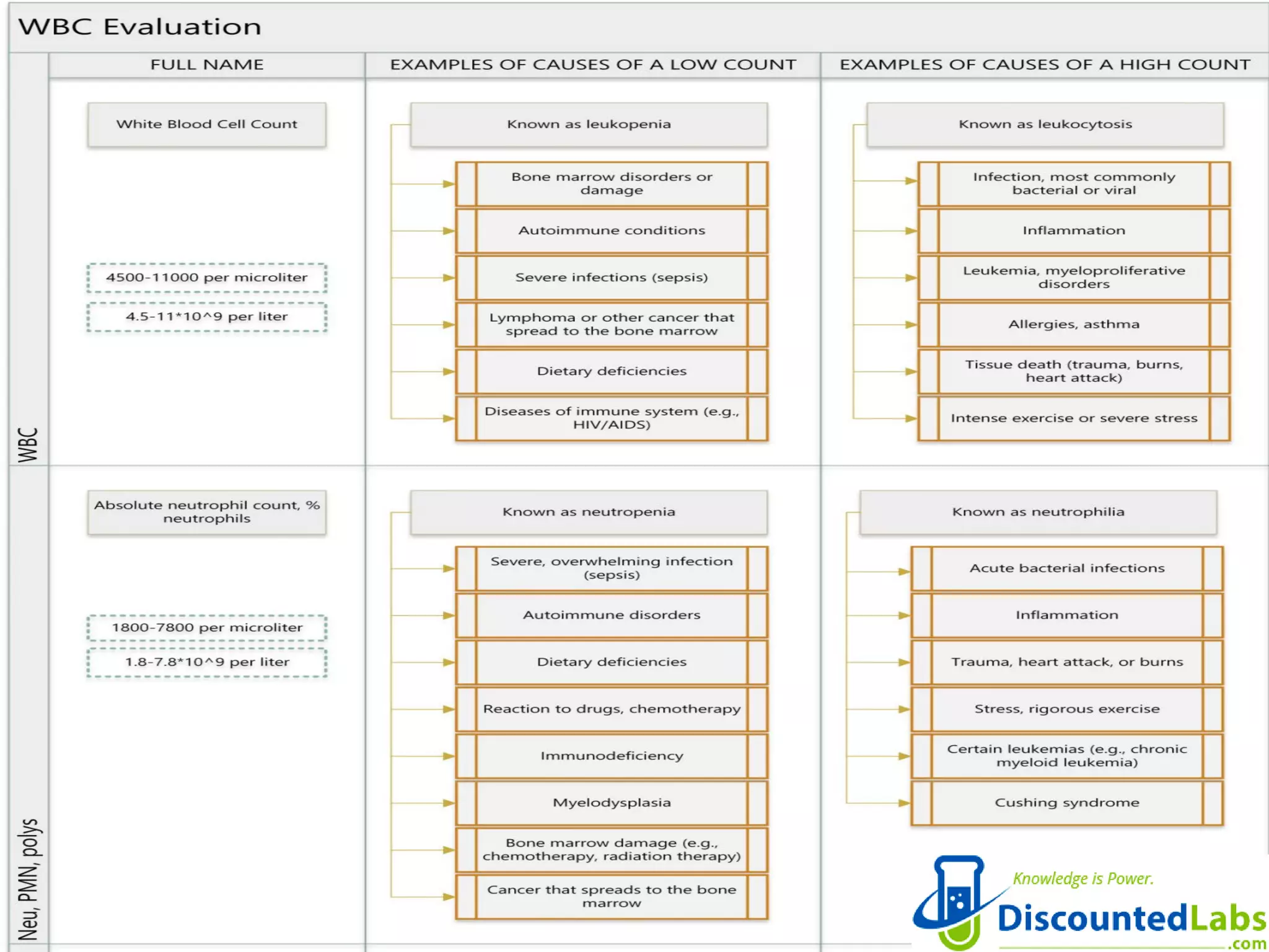 Complete Blood Count Panel Meaning | PDF | Blood Disorders | Diseases ...