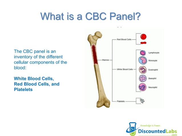 Complete Blood Count Panel Meaning | PDF | Blood Disorders | Diseases ...
