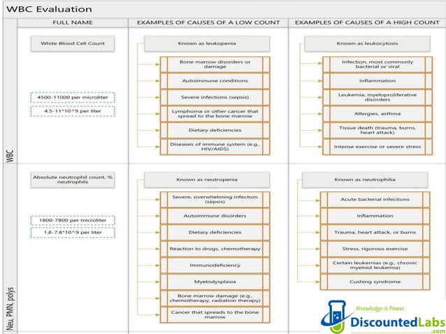 Complete Blood Count Panel Meaning | PDF | Blood Disorders | Diseases ...