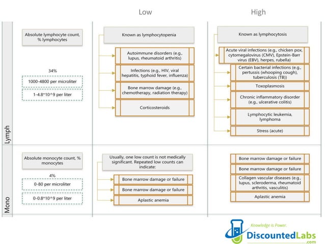 Complete Blood Count Panel Meaning | PDF | Blood Disorders | Diseases ...