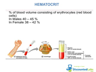 Complete Blood Count Panel Meaning | PDF | Blood Disorders | Diseases ...