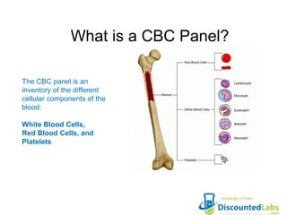 Discounted Labs CBC Panel Interpretation | PPT