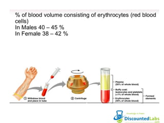 Discounted Labs CBC Panel Interpretation | PPT