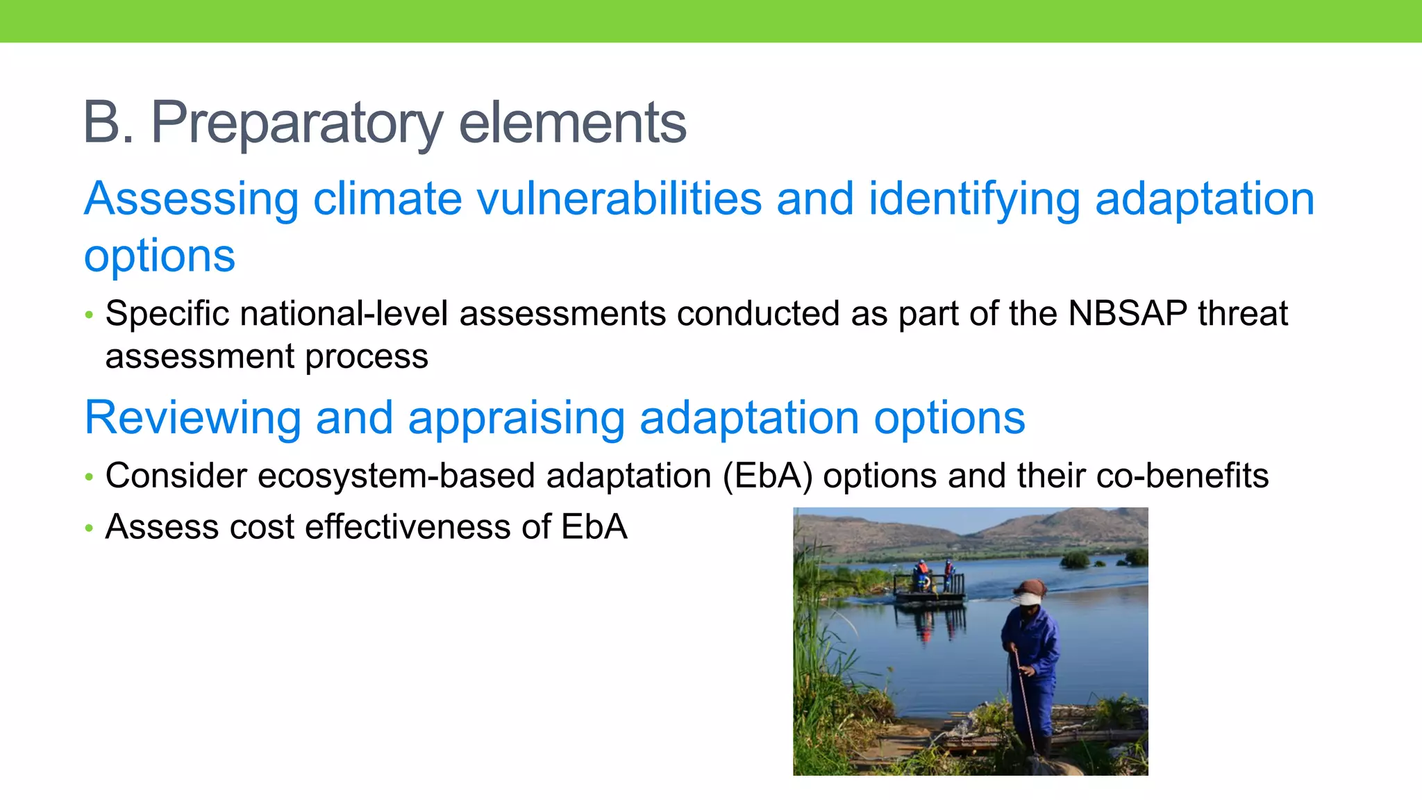 Synergies between climate change adaptation and biodiversity | PDF