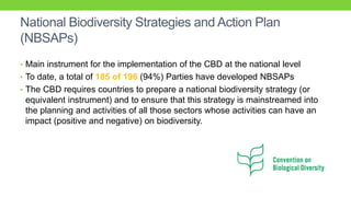 Synergies between climate change adaptation and biodiversity | PPT
