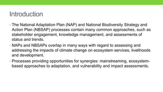 Synergies between climate change adaptation and biodiversity | PPT