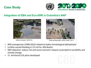 Experiences with Ecosystem-based Approaches to Climate Change ...
