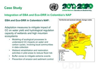 Experiences with Ecosystem-based Approaches to Climate Change ...
