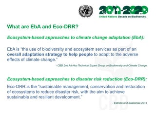 Experiences with Ecosystem-based Approaches to Climate Change ...