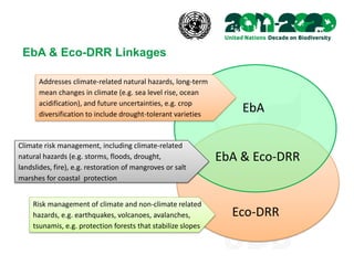 Experiences with Ecosystem-based Approaches to Climate Change ...