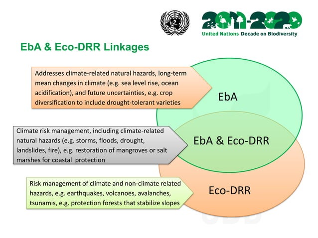 Experiences with Ecosystem-based Approaches to Climate Change Adaptation and DIsaster Risk ...