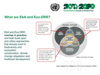 Experiences with Ecosystem-based Approaches to Climate Change ...
