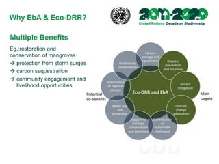 Experiences with Ecosystem-based Approaches to Climate Change ...