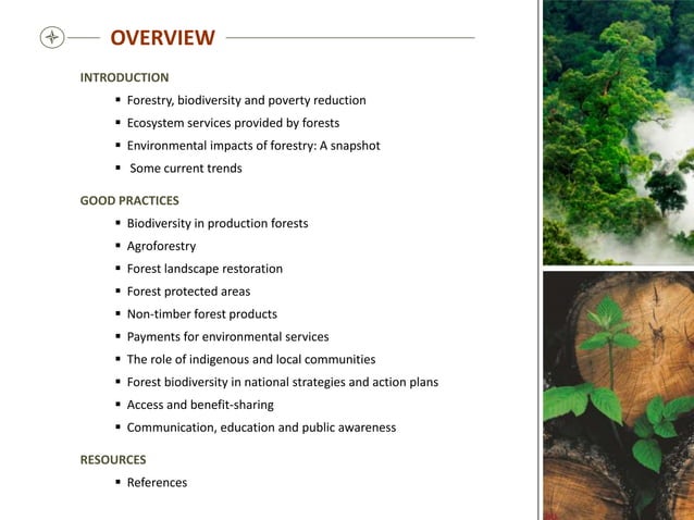 cbd-good-practice-guide-forestry-powerpoint-en.ppt