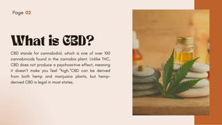 CBD 101 An Introduction to Cannabidiol | PDF