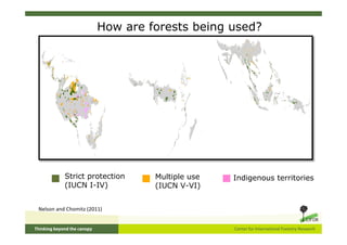 Reducing tropical forest loss through multiple use? | PPT