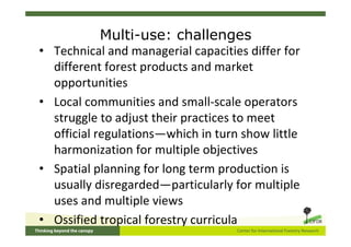 Reducing tropical forest loss through multiple use? | PPT