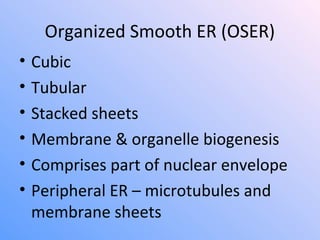 ER Presentation-updated | PPT