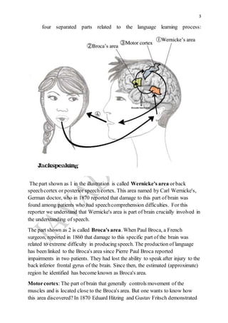 Language and the brain | PDF