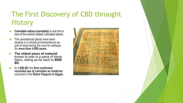 Cbd History and Evolution | PPTX | Herbs and Supplements | Alternative ...