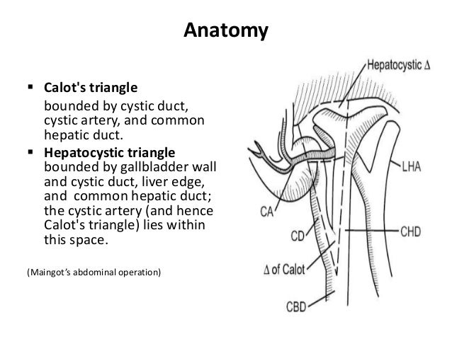 Cbd injuries