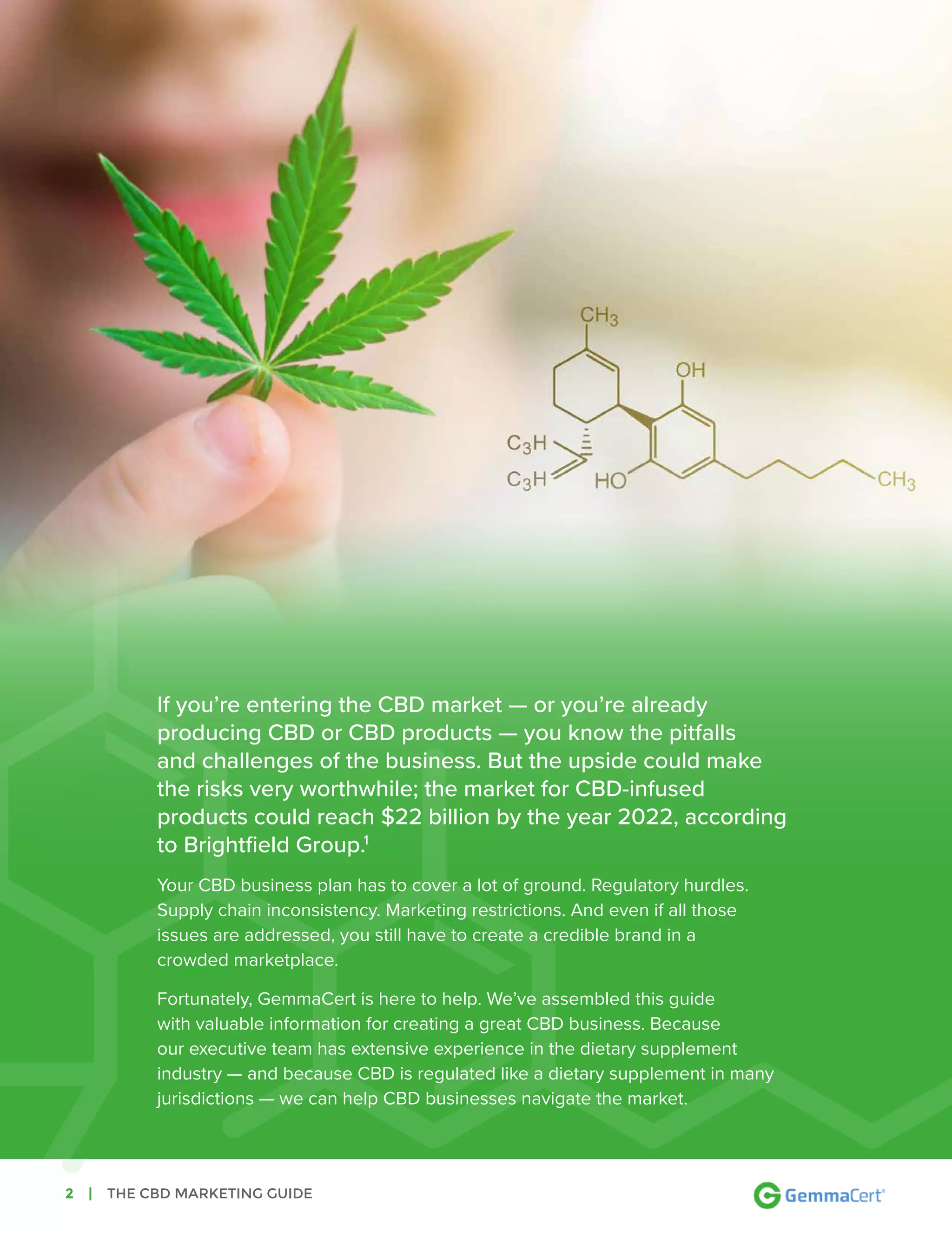 CBD Marketing Guide | PDF