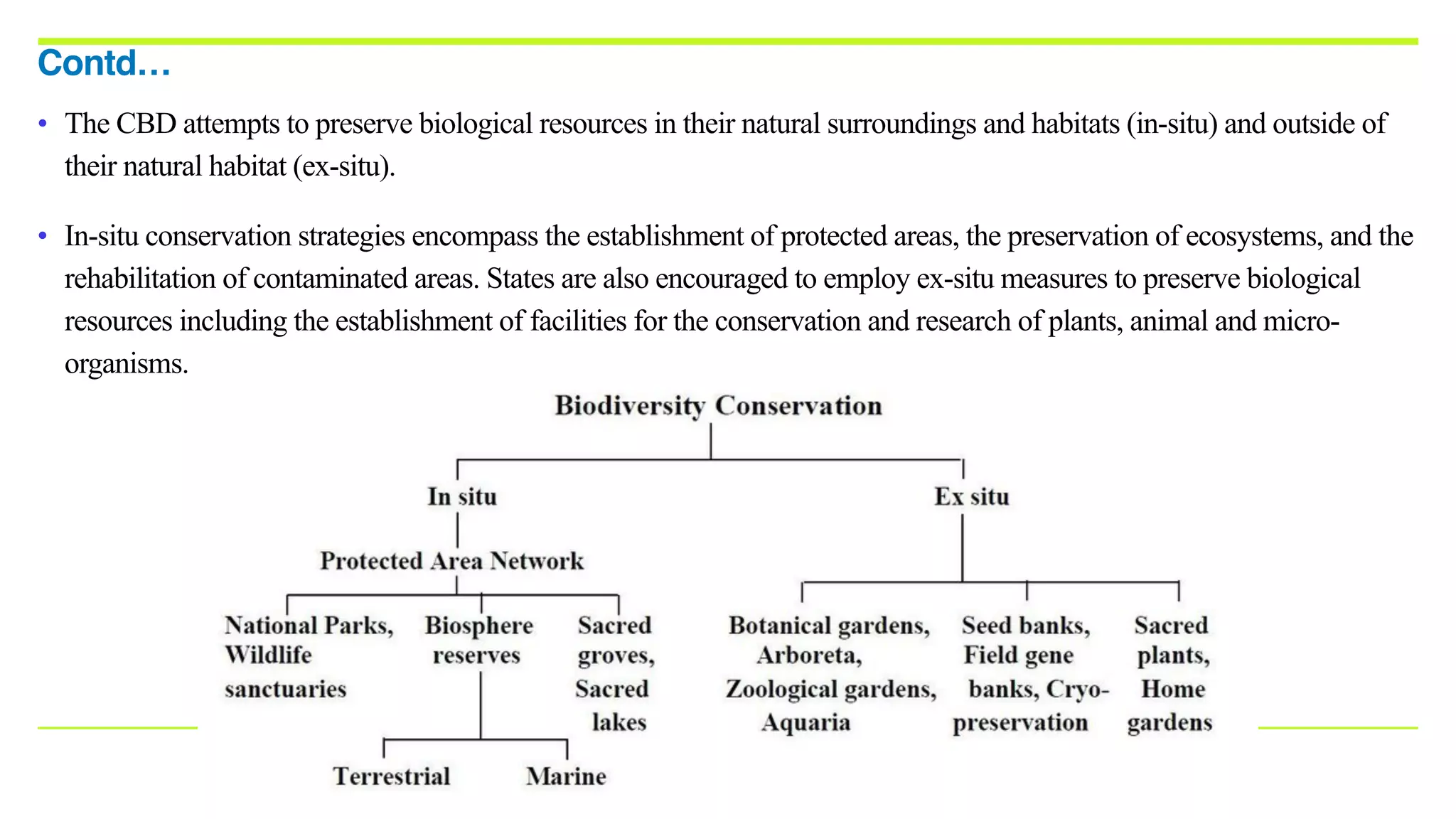 Convention on Biodiversity (CBD) | PDF