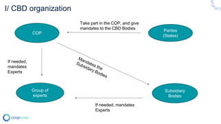 CBD Processes and mechanisms and conduct of business.pdf