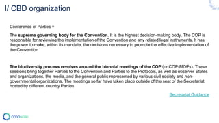 CBD Processes and mechanisms and conduct of business.pdf