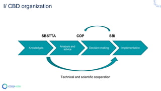 CBD Processes and mechanisms and conduct of business.pdf