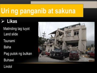 Community Based Disaster Management (C.B.D.M.) | PPT