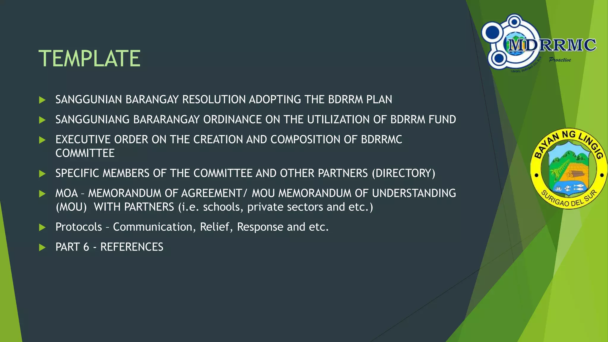 CBDRRM PLANNING WORKSHOP - TEMPLATE.pptx