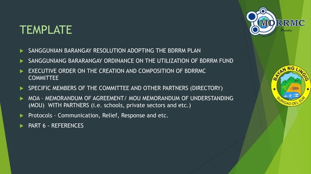 CBDRRM PLANNING WORKSHOP - TEMPLATE.pptx