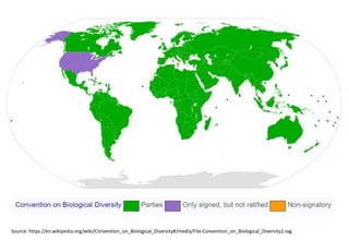 Cbd convention on biological diversity, environment and ecology | PPT