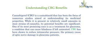 CBD VS CBG What is the difference [Benefits And Uses]? | PPTX