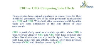 CBD VS CBG What is the difference [Benefits And Uses]? | PPTX | Herbs ...