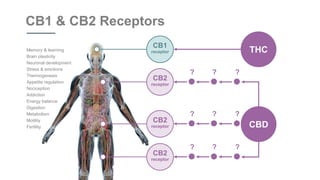 Cbd vs Copiba | PPTX