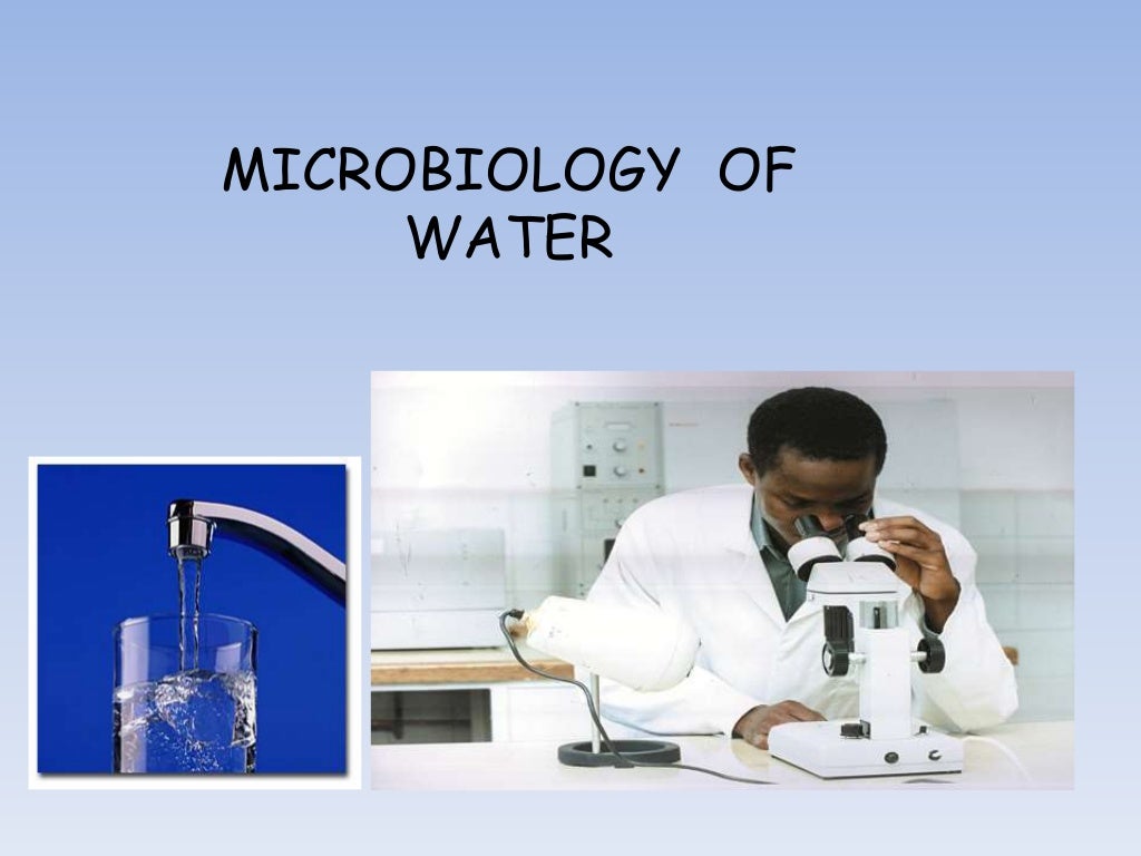 Bacteriological Analysis Of Analysis chemical Analysis Of Water solid bacteriological-analysis-of-analysis-chemical-analysis-of-water-solid
