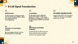 cell signaling in immune response in all animals | PPTX