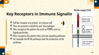 cell signaling in immune response in all animals | PPTX