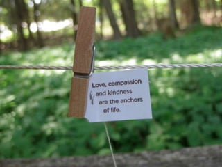 Cbennett discussion 4 | PPTX | Debated Sensitive Social Issues ...